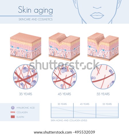 헬스케어/의료 스톡 사진, 로열티 프리(RF) 이미지 및 벡터 - Shutterstock
